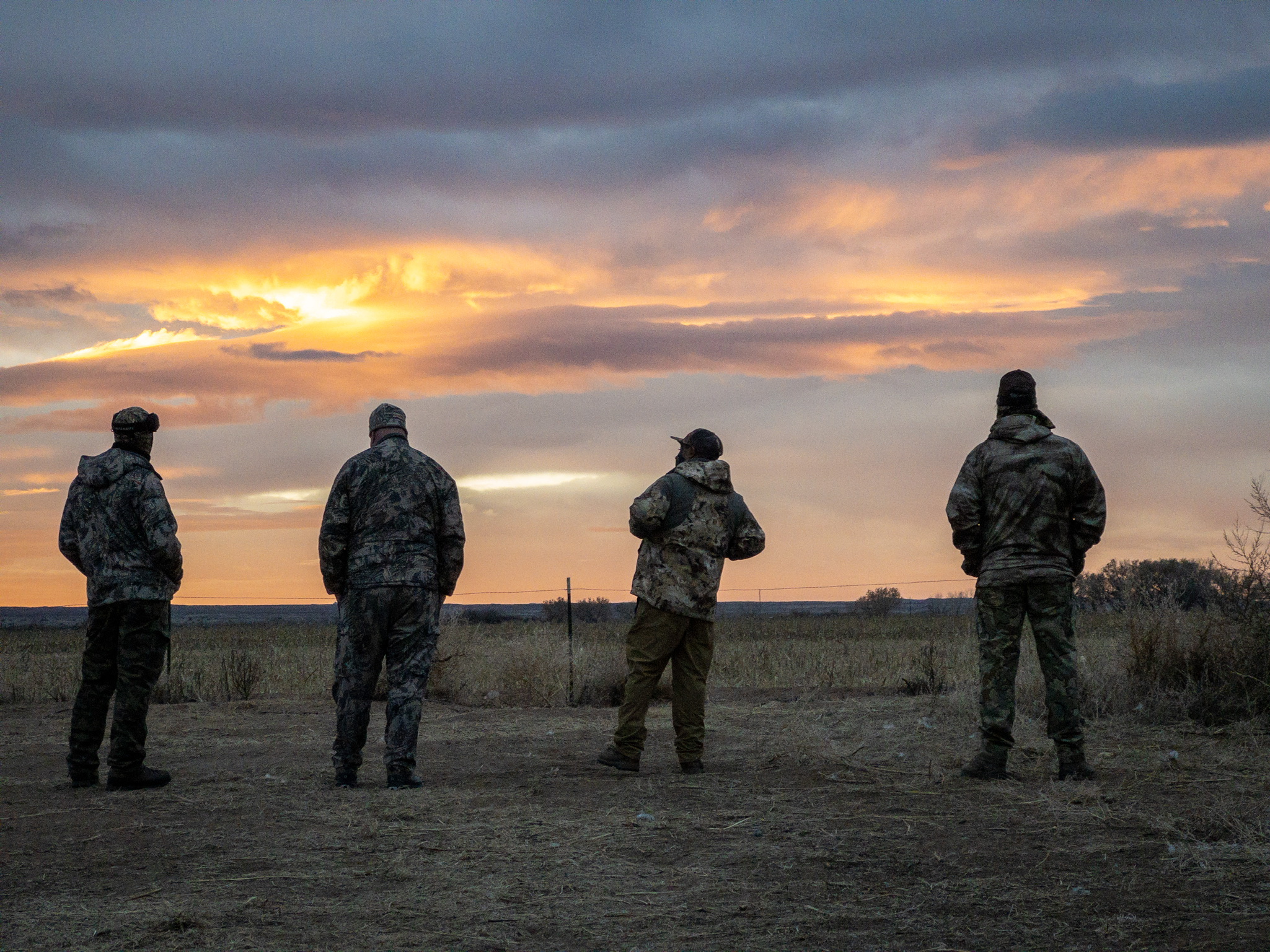 Bird Hunting - Tinnin Hunt Club