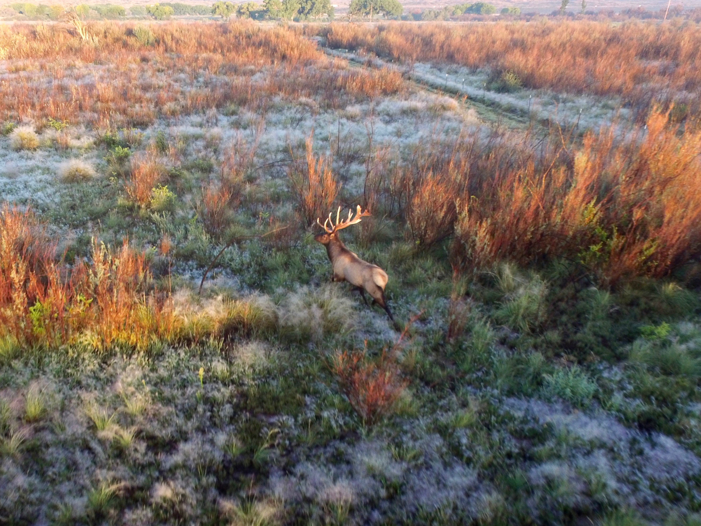 Big Game Hunting - Tinnin Hunt Club