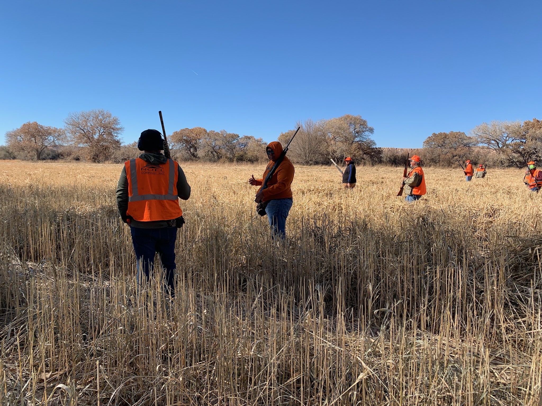 Bird Hunting - Tinnin Hunt Club