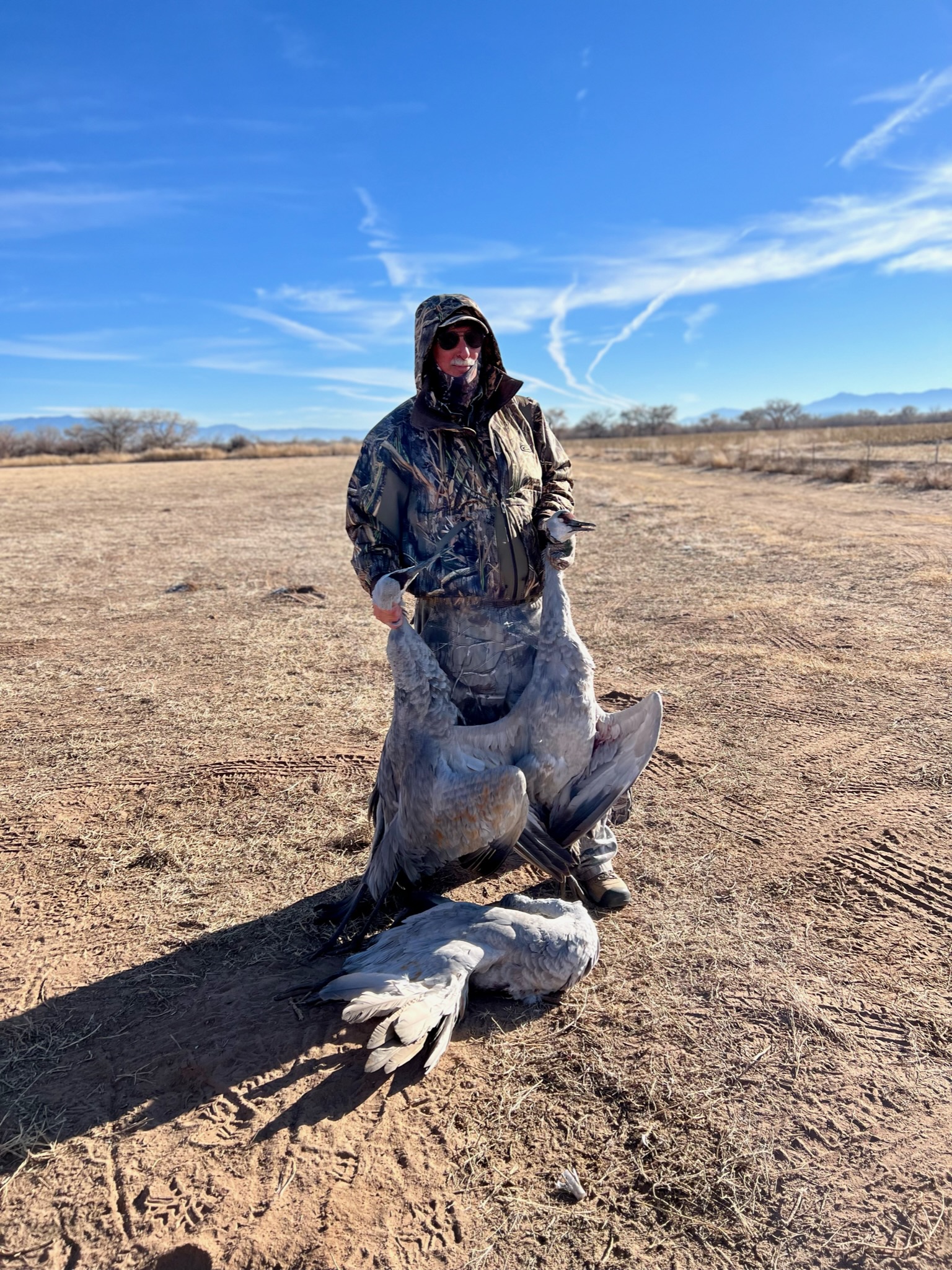 Bird Hunting - Tinnin Hunt Club