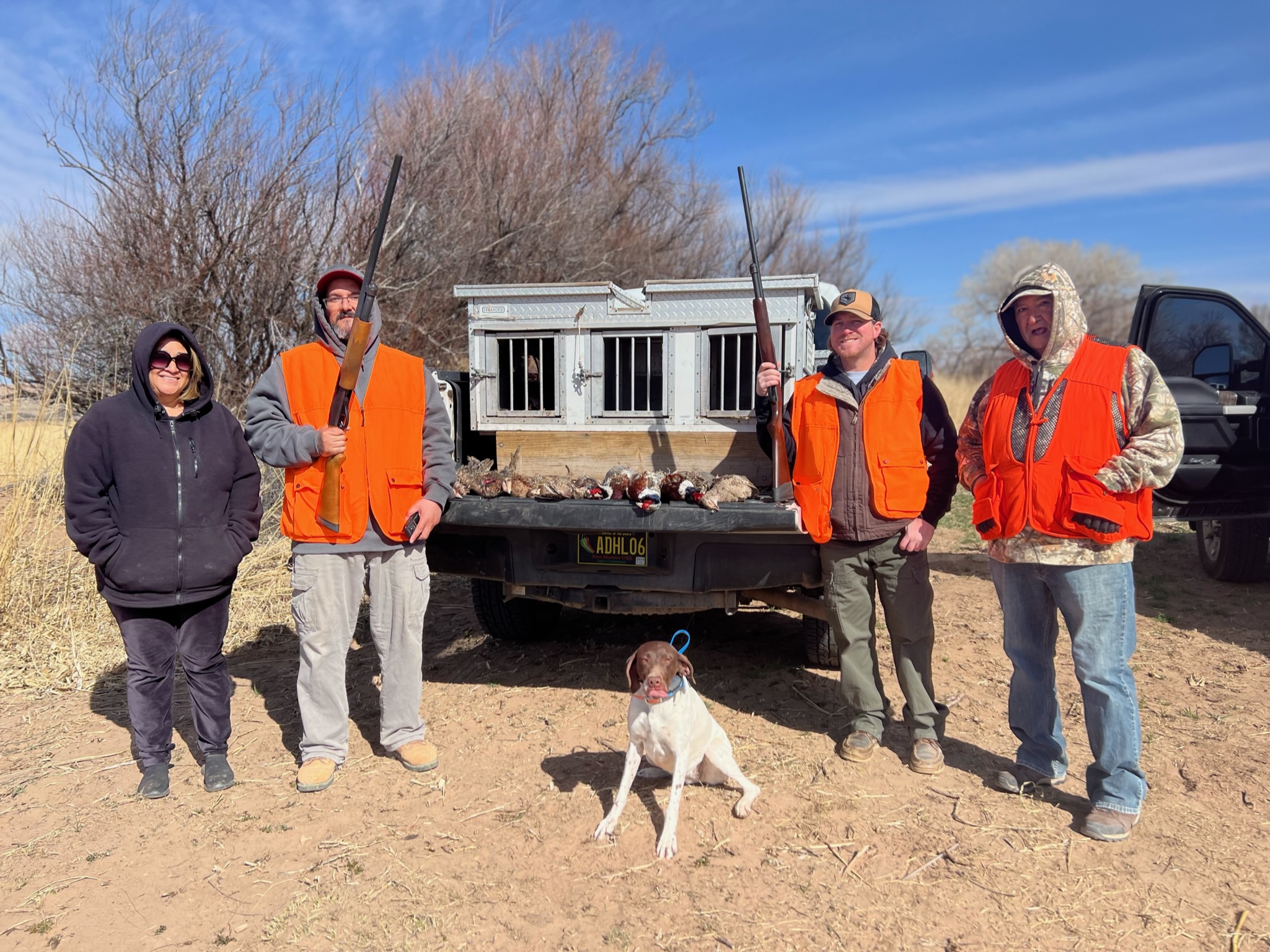 Bird Hunting - Tinnin Hunt Club