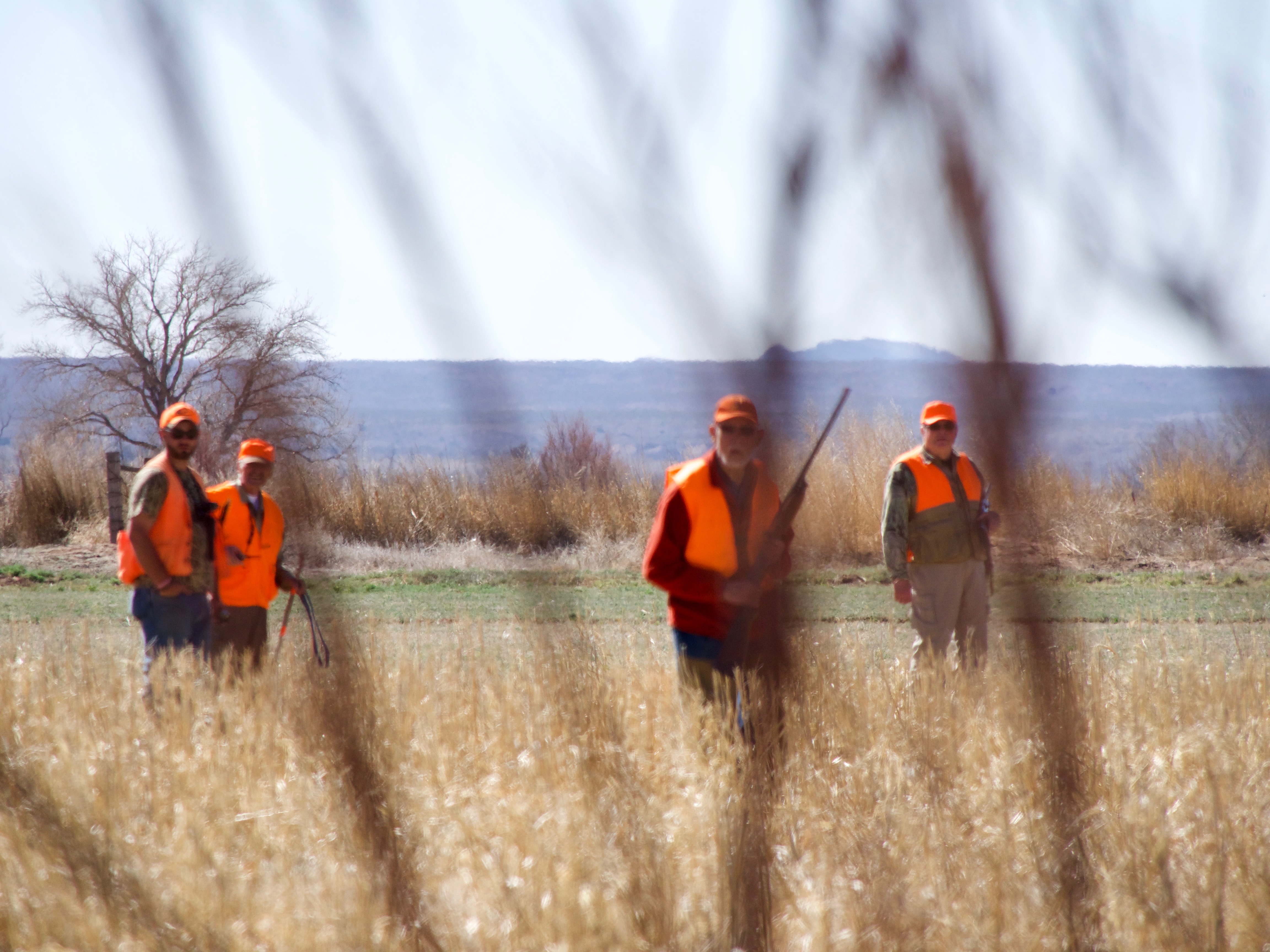 Bird Hunting – Tinnin Hunt Club