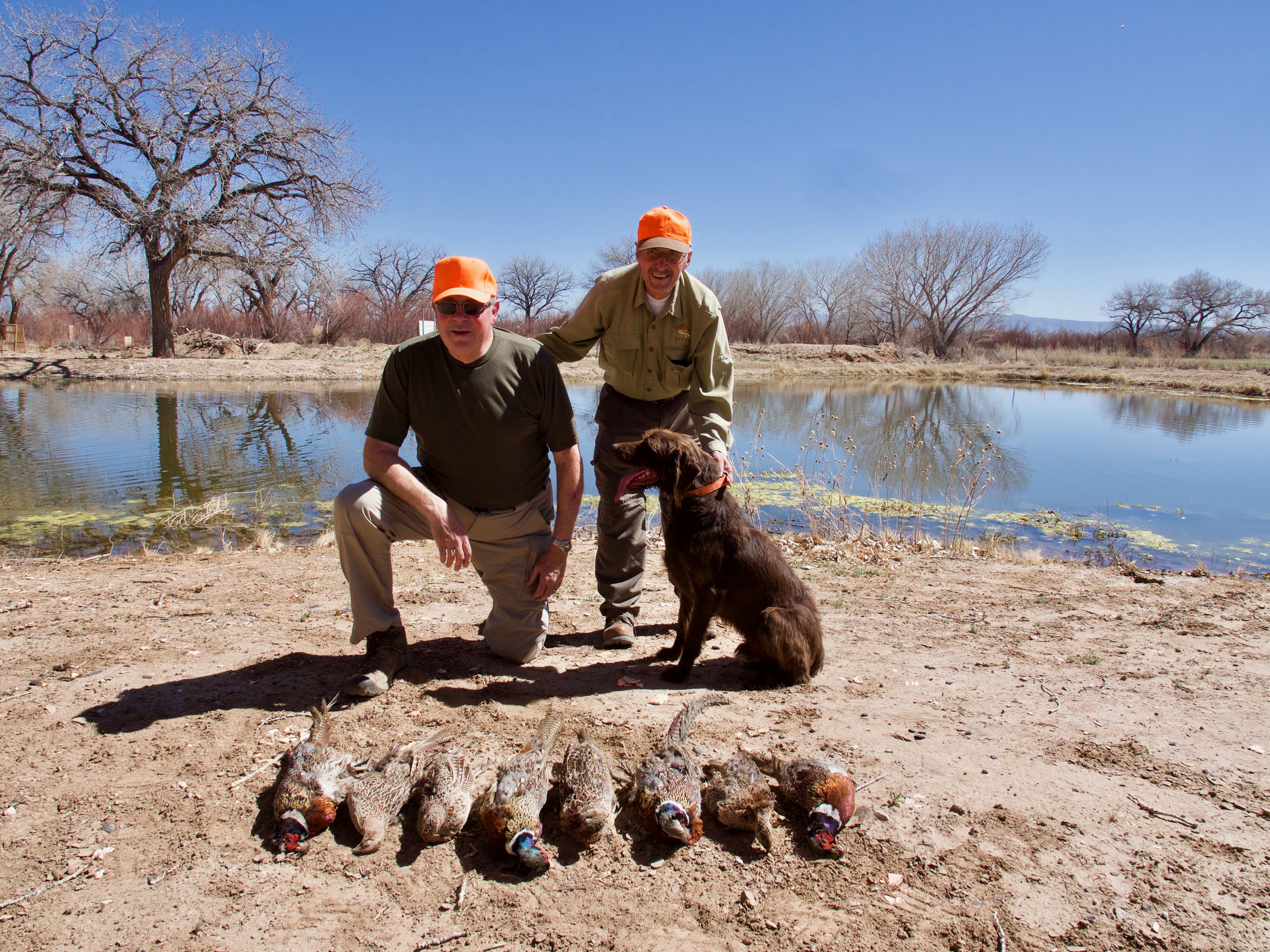 Bird Hunting – Tinnin Hunt Club