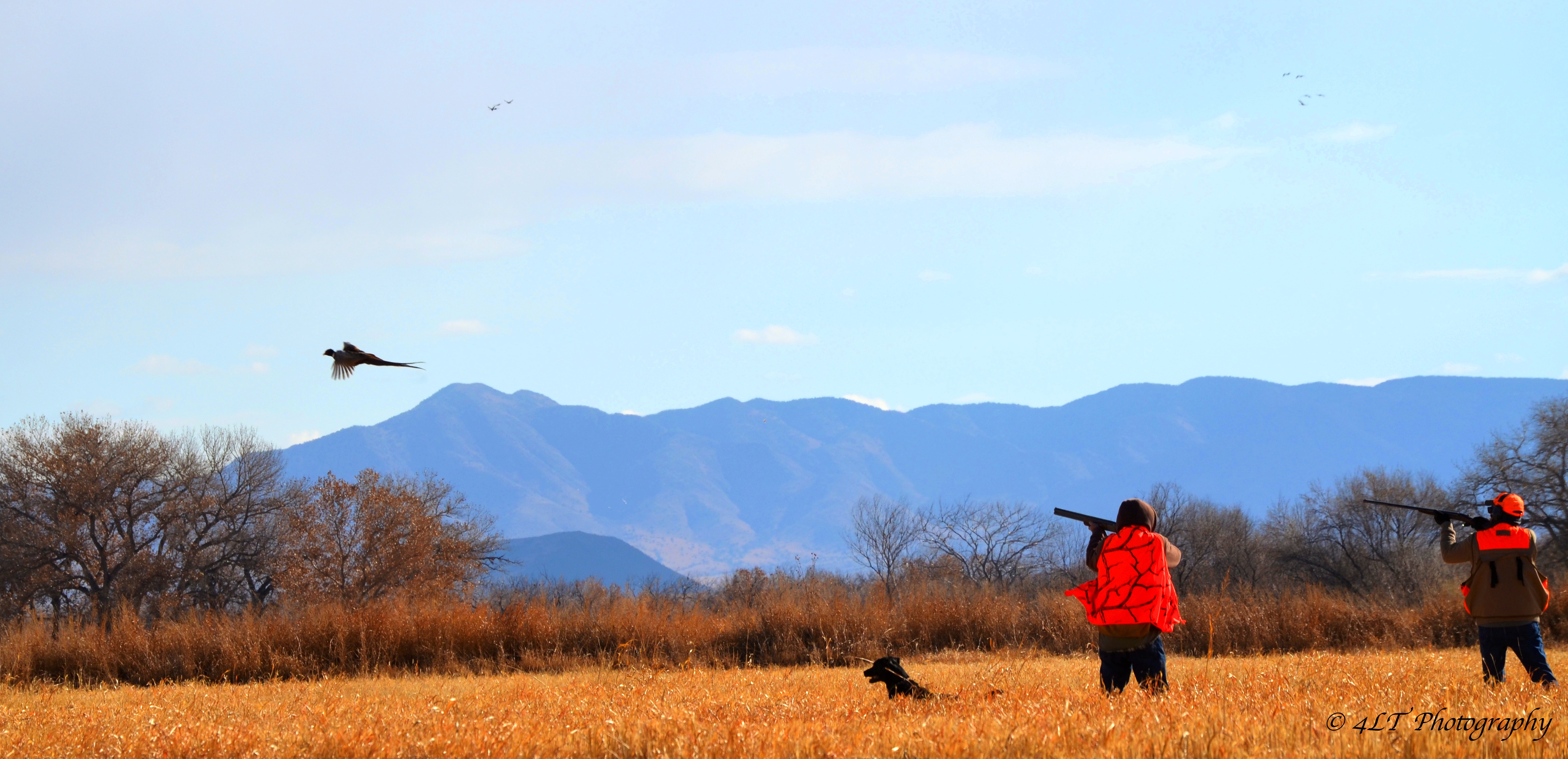 Bird Hunting – Tinnin Hunt Club