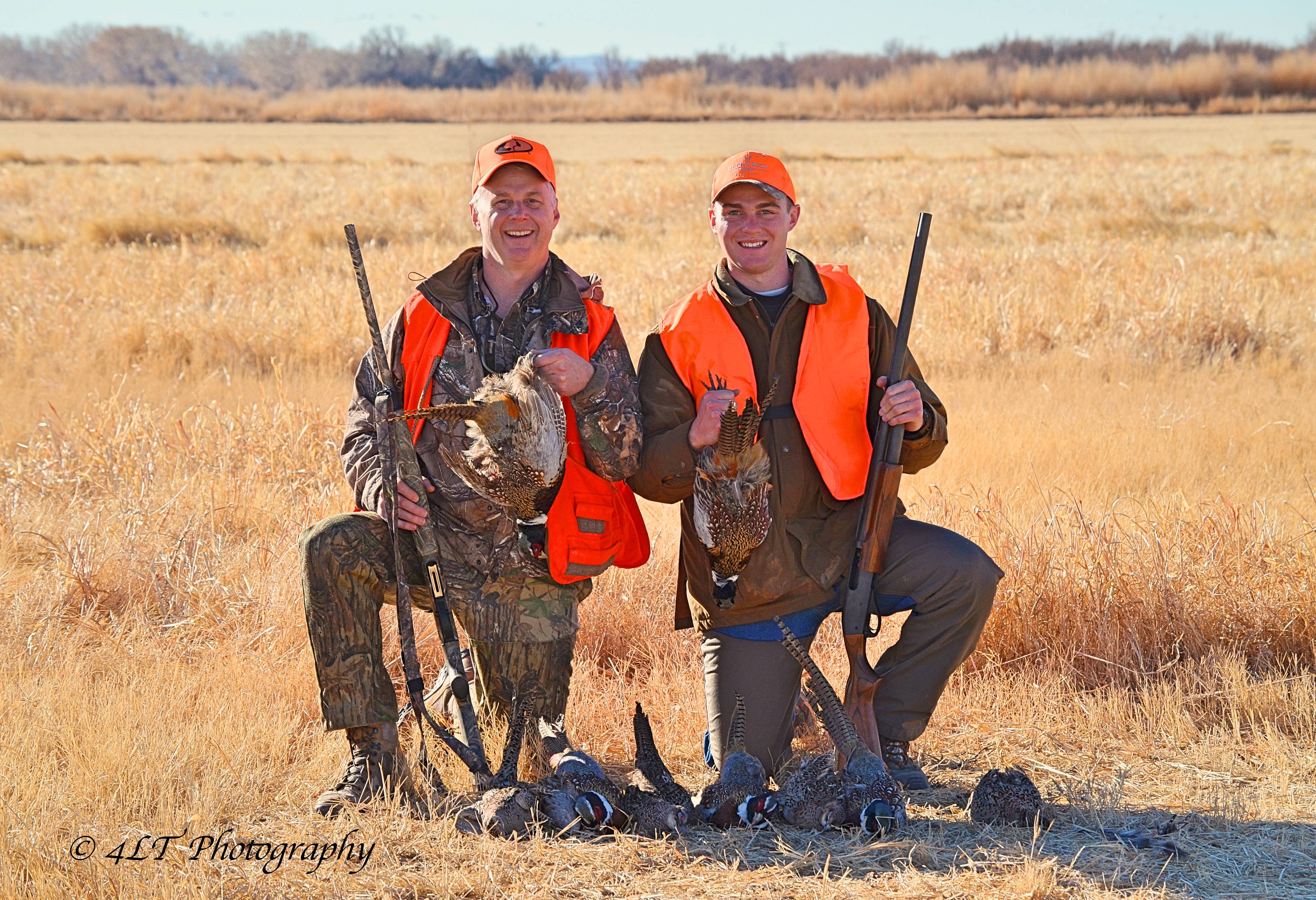 Bird Hunting – Tinnin Hunt Club