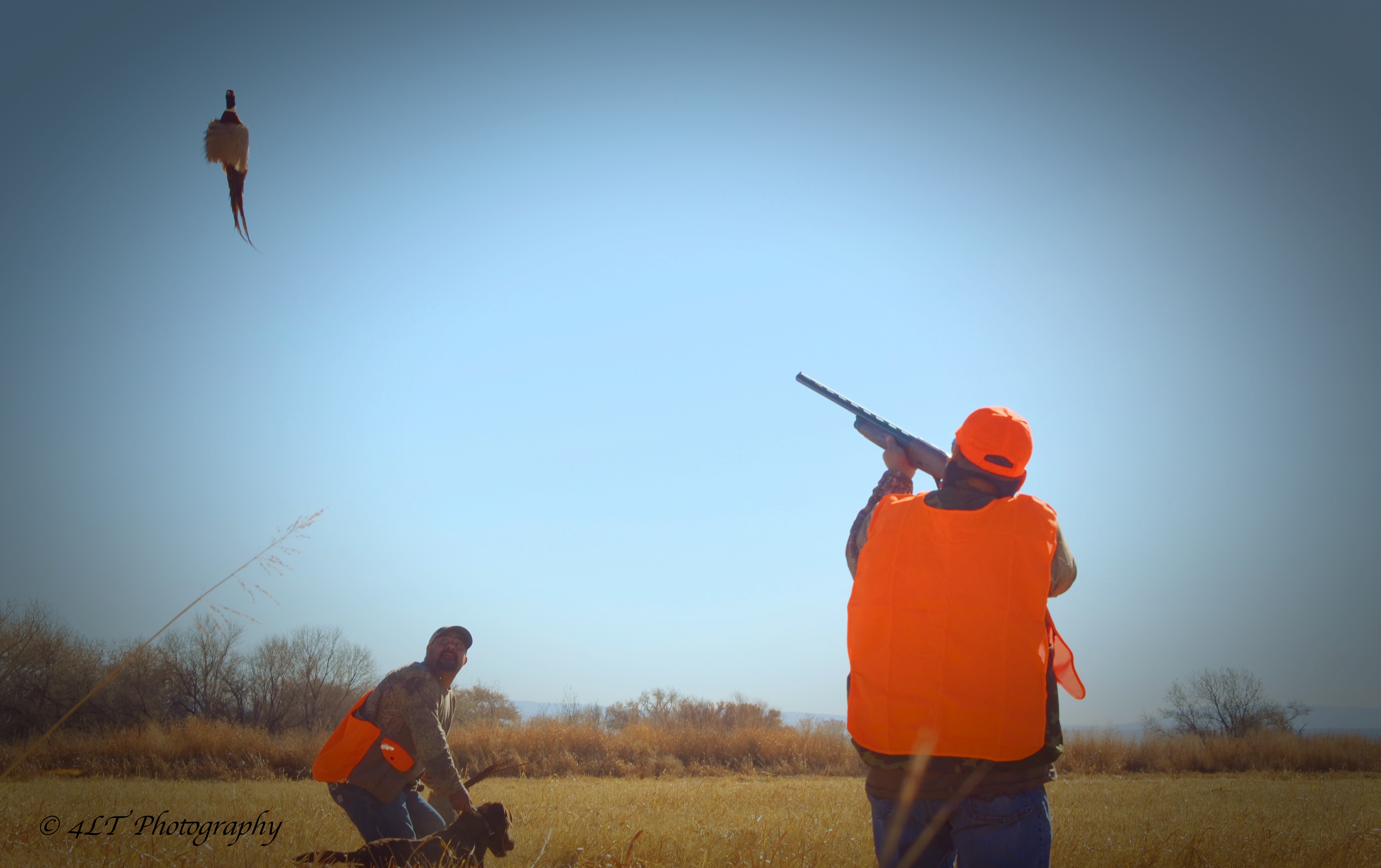 Bird Hunting – Tinnin Hunt Club