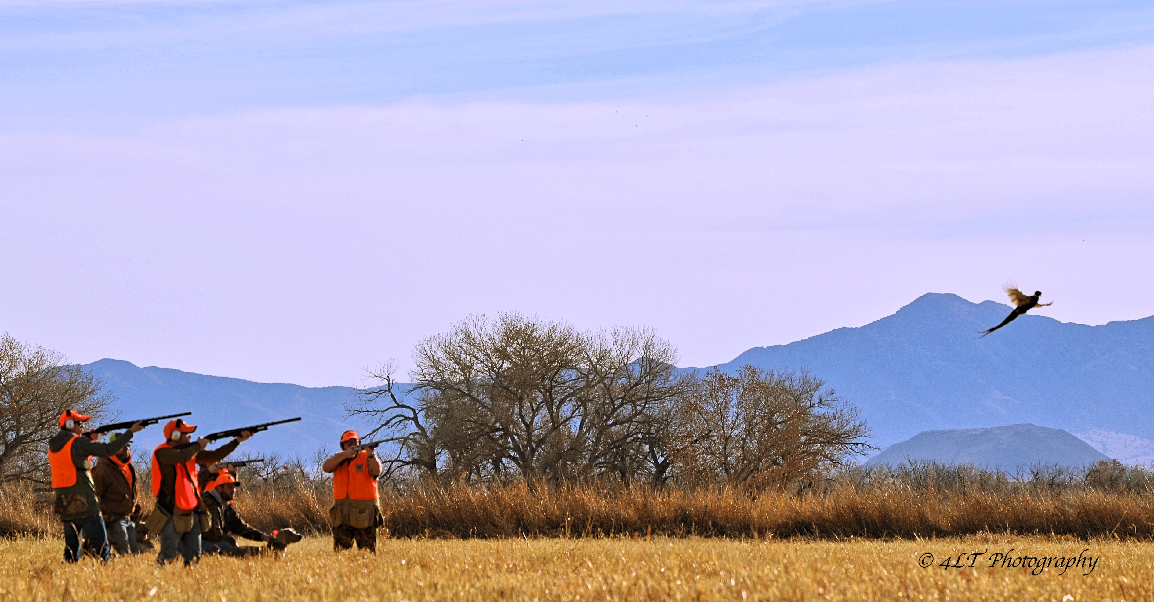 Bird Hunting – Tinnin Hunt Club