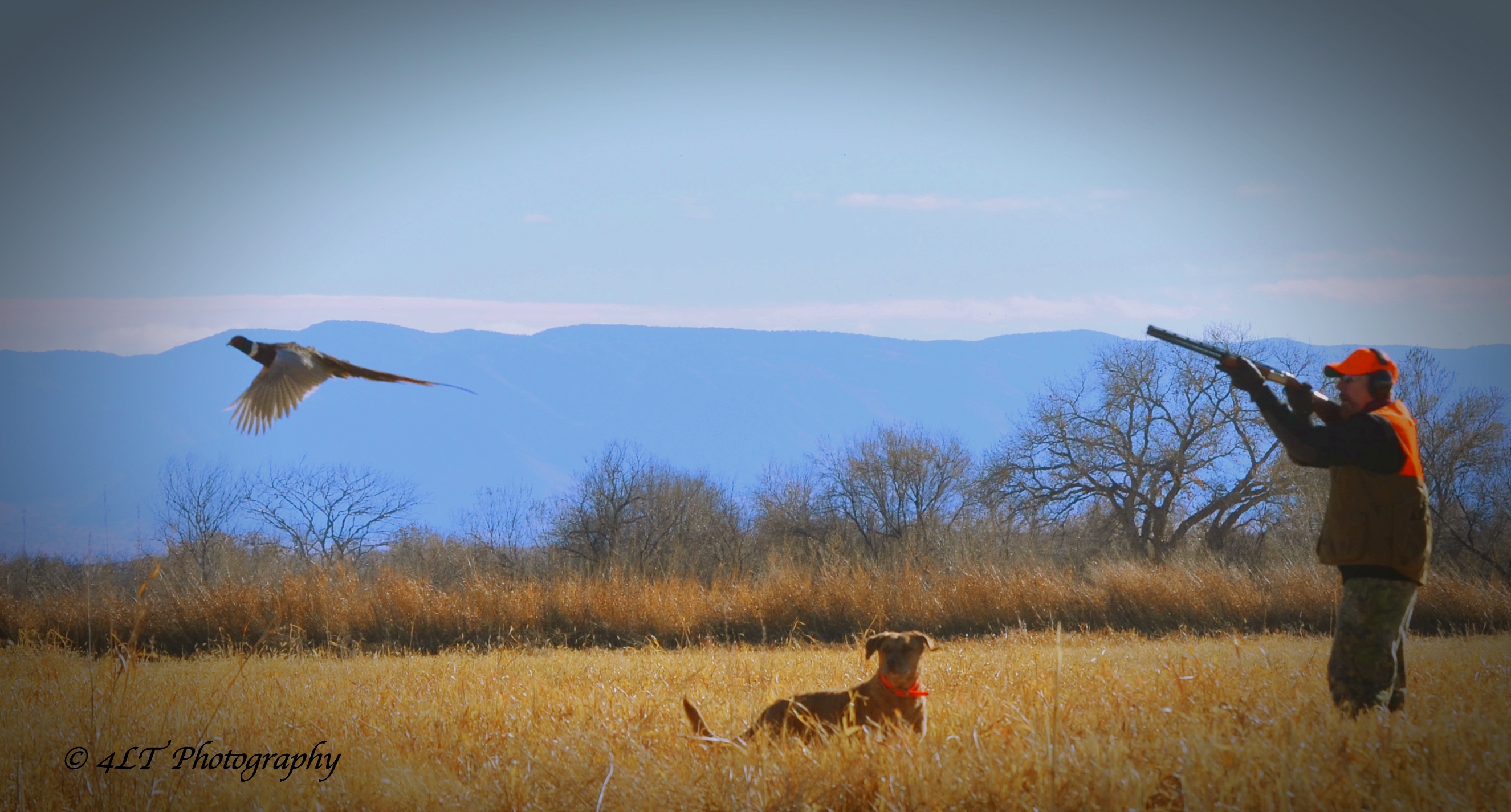 Bird Hunting – Tinnin Hunt Club