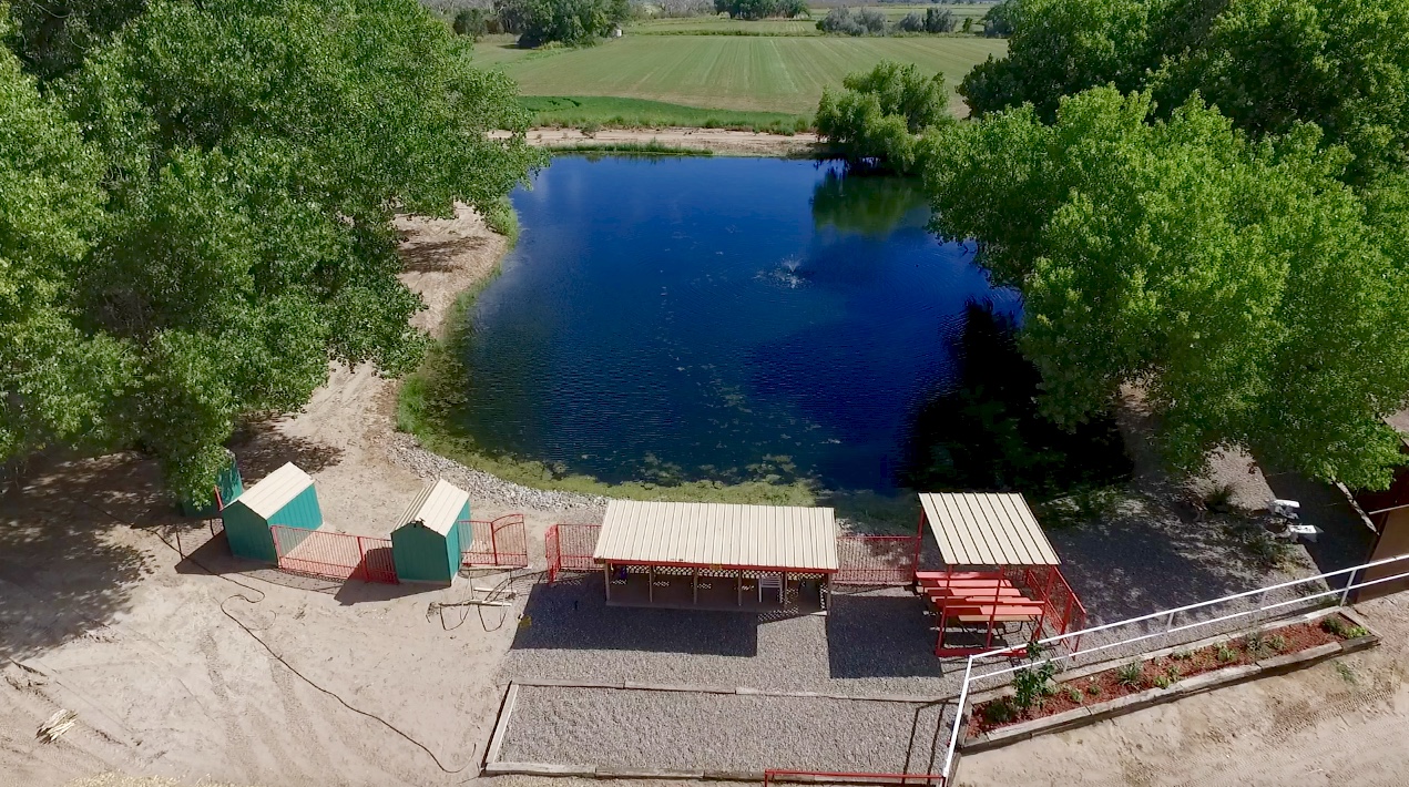 Overview - Tinnin Hunt Club