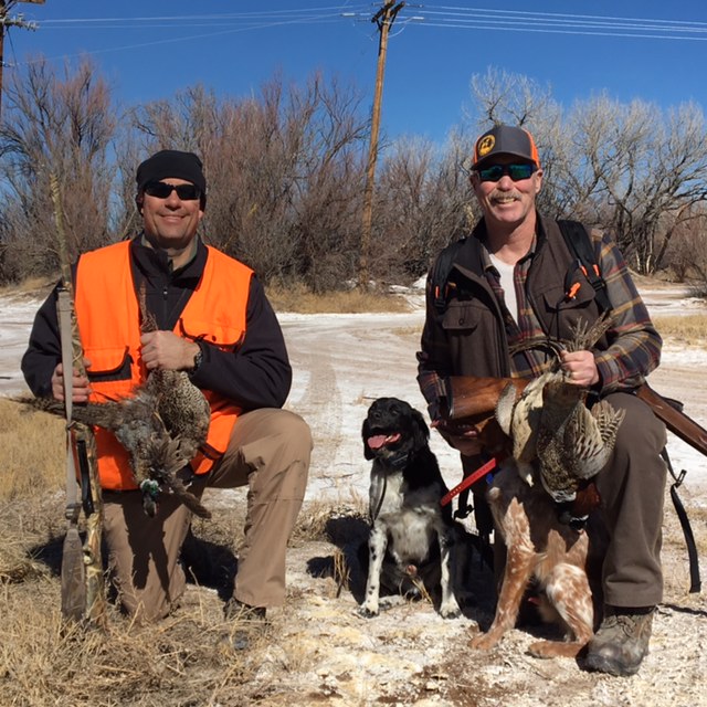 Bird Hunting - Tinnin Hunt Club