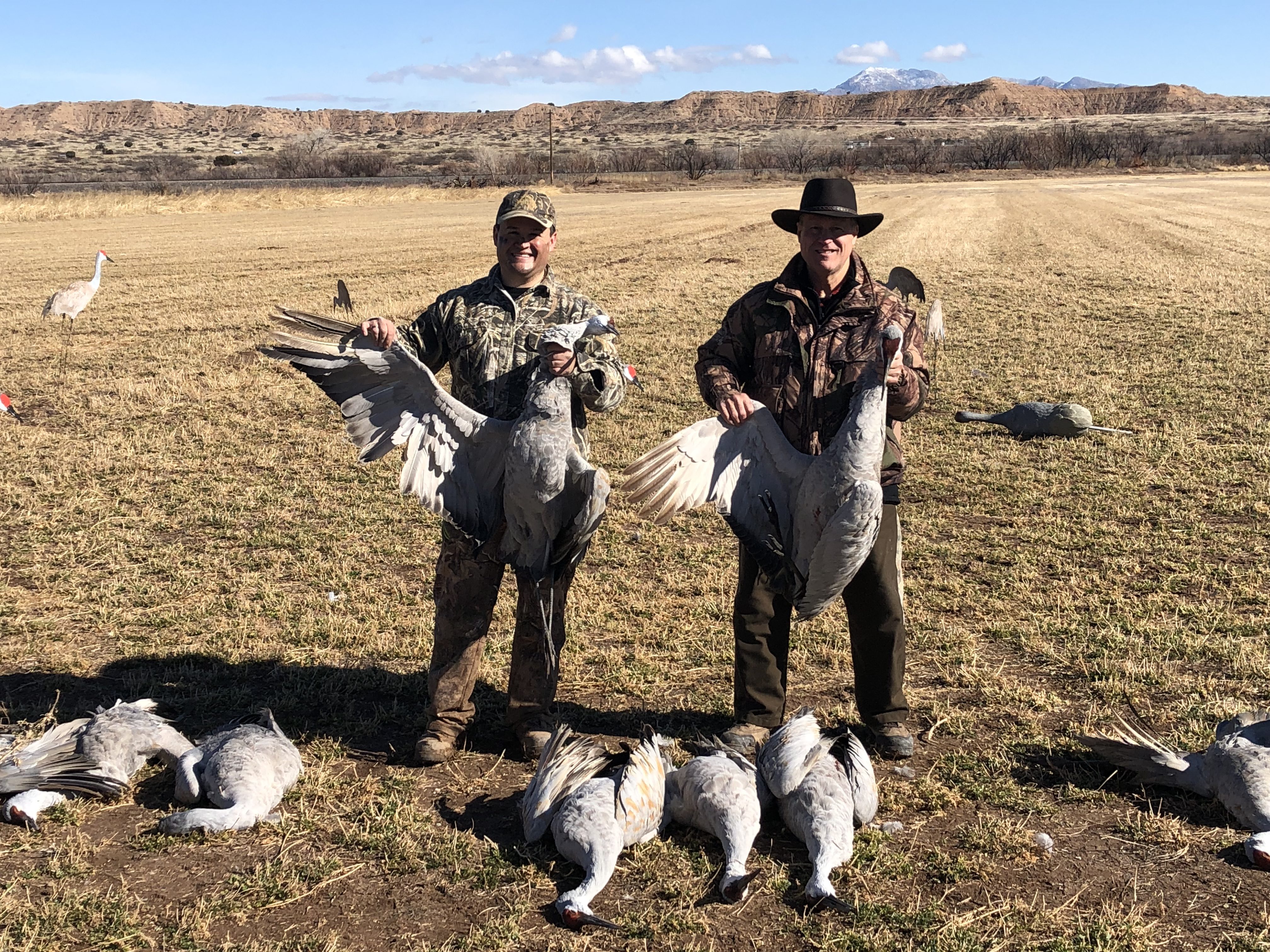 Bird Hunting – Tinnin Hunt Club