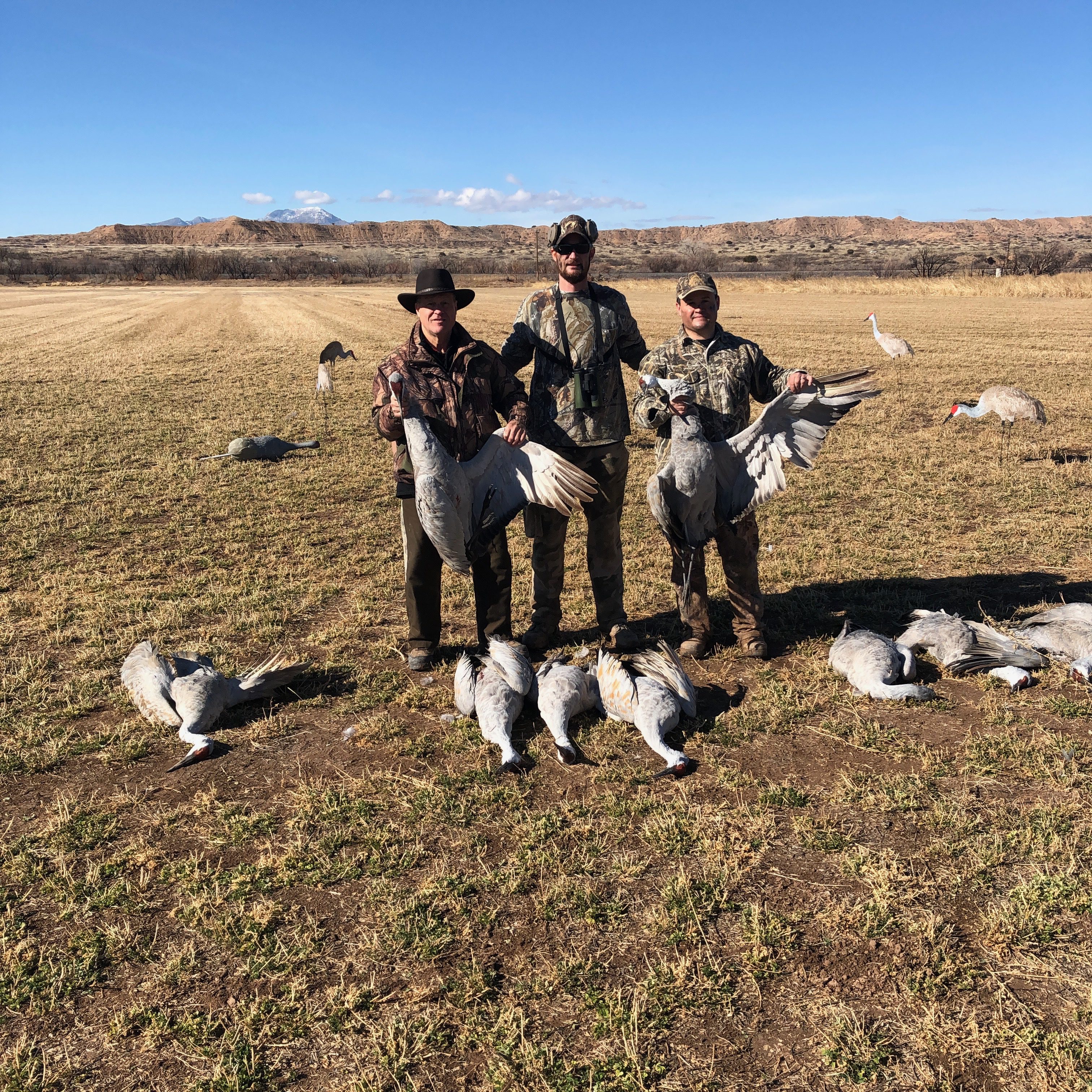 Bird Hunting - Tinnin Hunt Club
