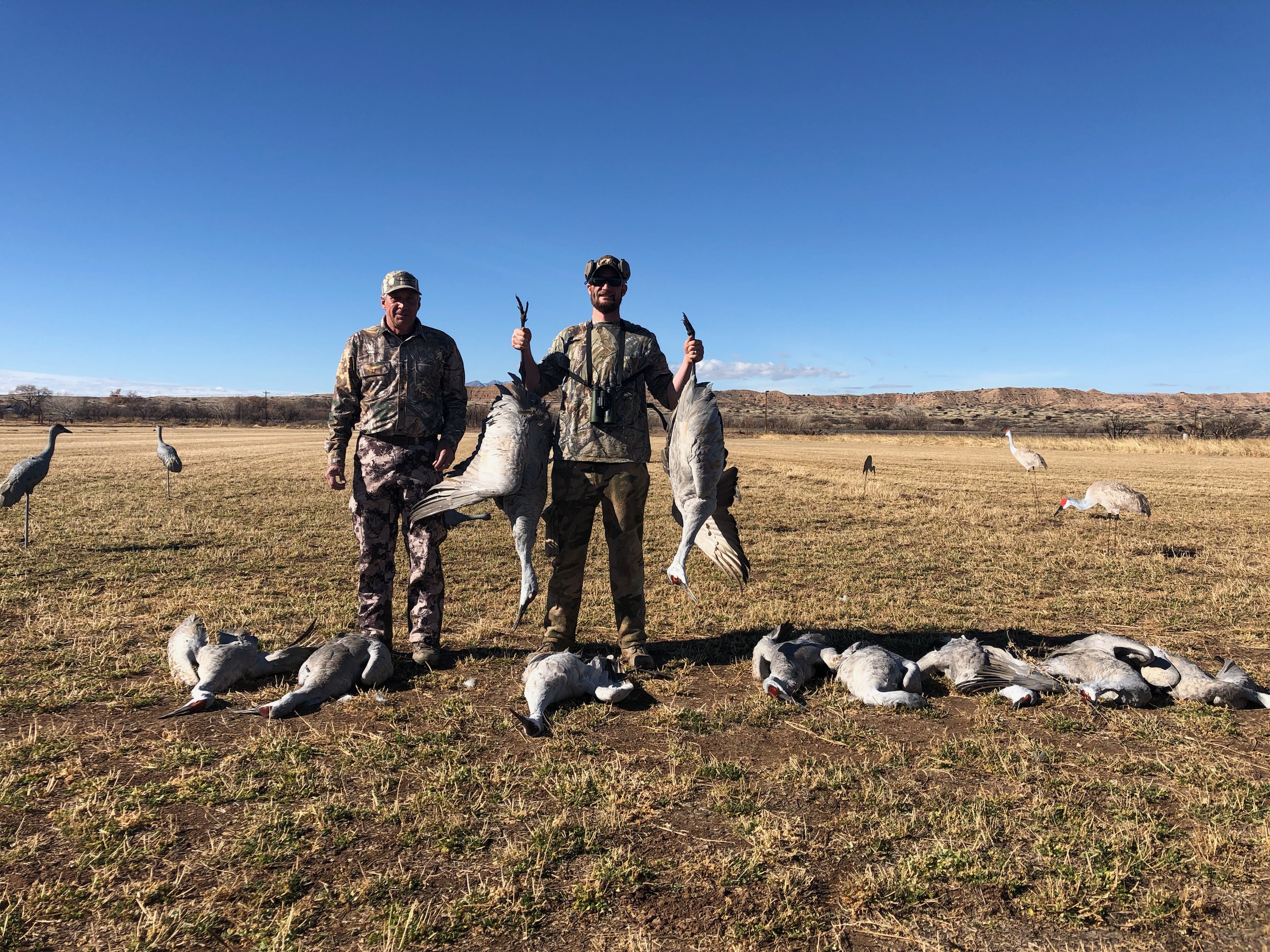 Bird Hunting - Tinnin Hunt Club